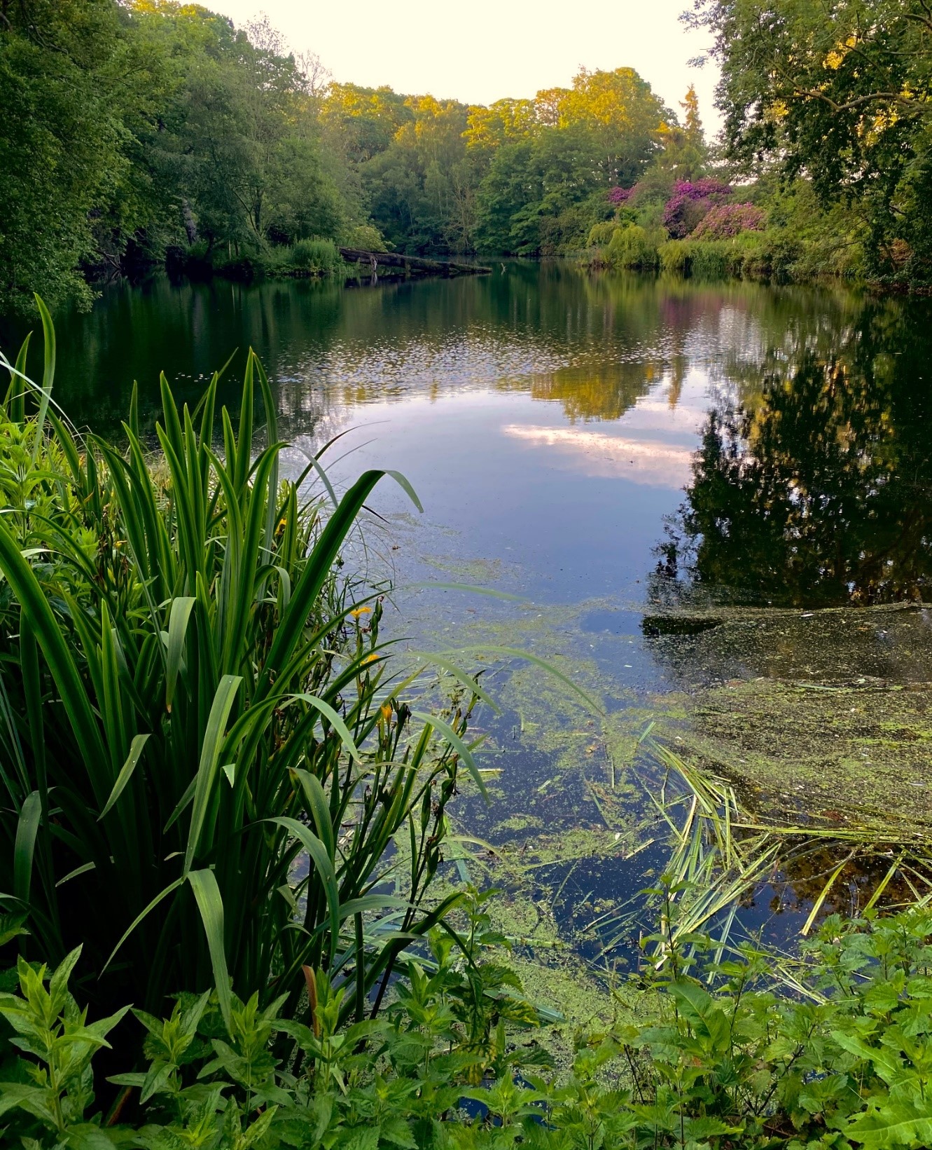 Secure the future of Outdoor Learning at Holt Hall - a Community ...