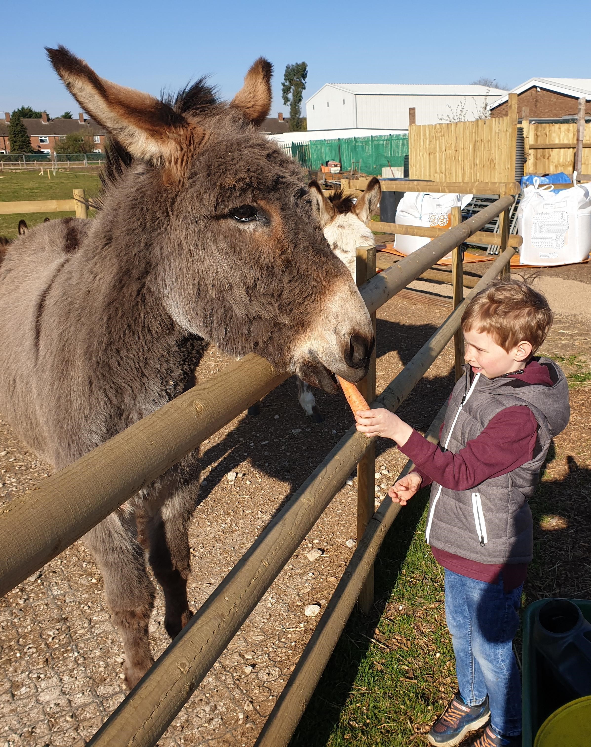 Nunny's Farm Urgent Appeal - a Business crowdfunding project in Grimsby ...