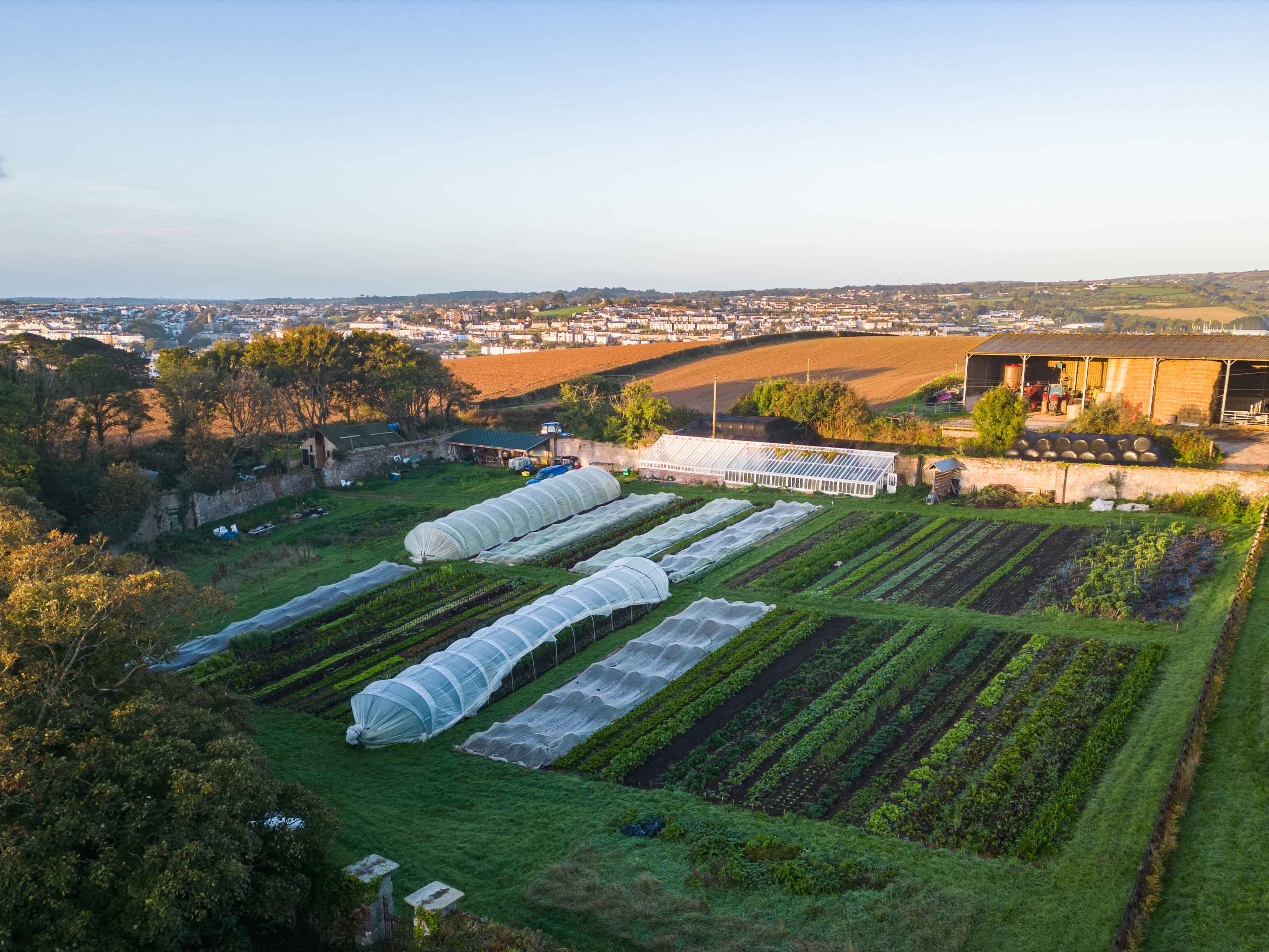 Soul Farm — soil has soul - a Food and Drink crowdfunding project in ...