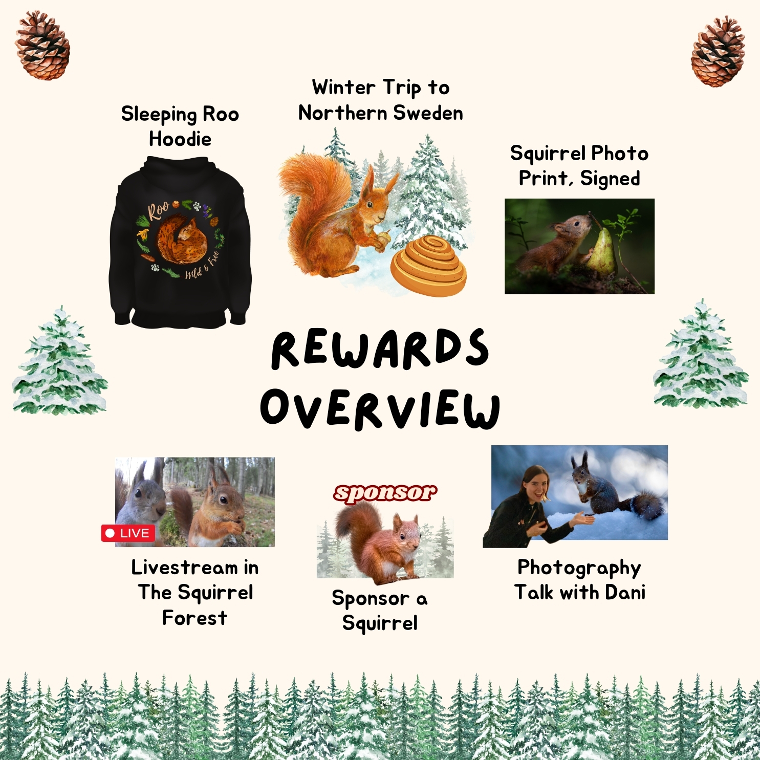 Save the Squirrel Forest from deforestation! - a Environment ...