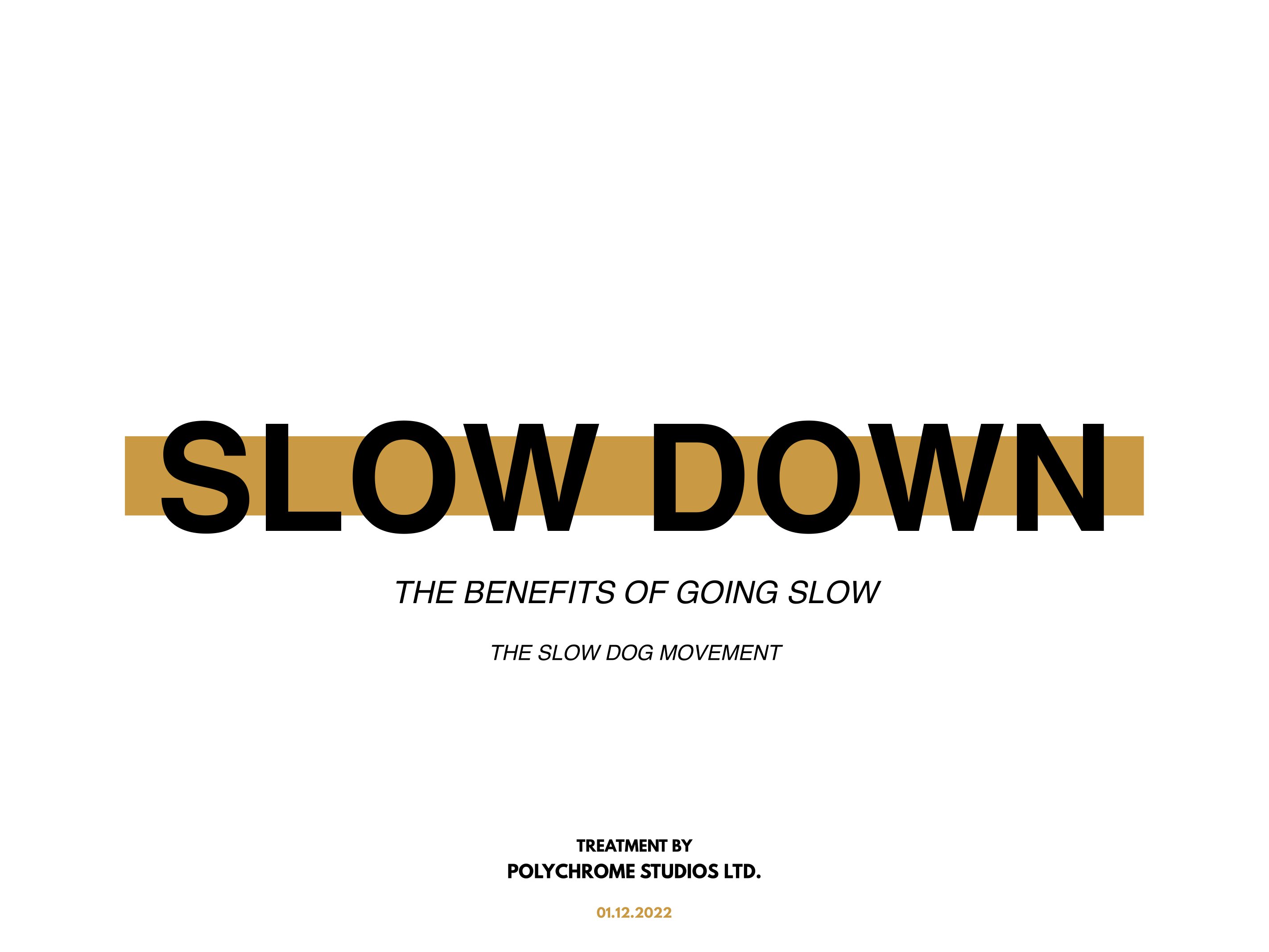 Slow Dog Movement Film Fundraiser - a Social Enterprise crowdfunding ...