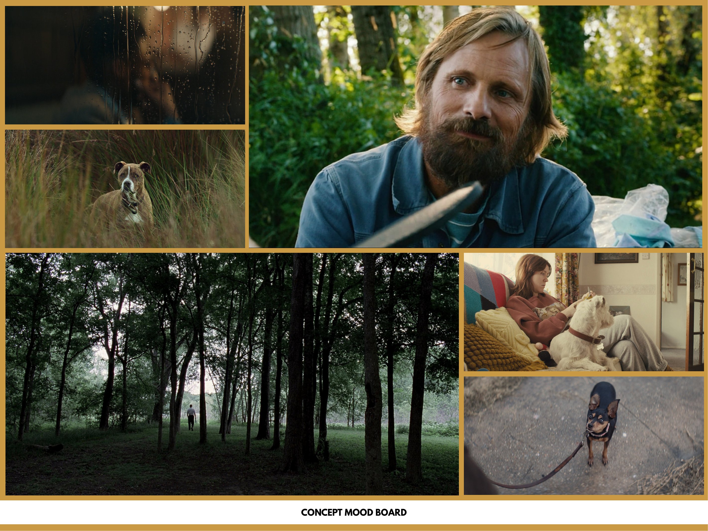 Slow Dog Movement Film Fundraiser - a Social Enterprise crowdfunding ...