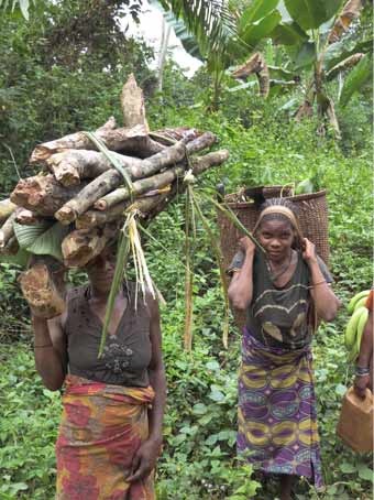 Sustainable rainforest saving farming for the Baka - a Charities ...