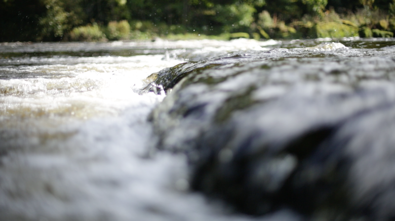 Filming the River Eden - a crowdfunding project in Cumbria by Callum ...