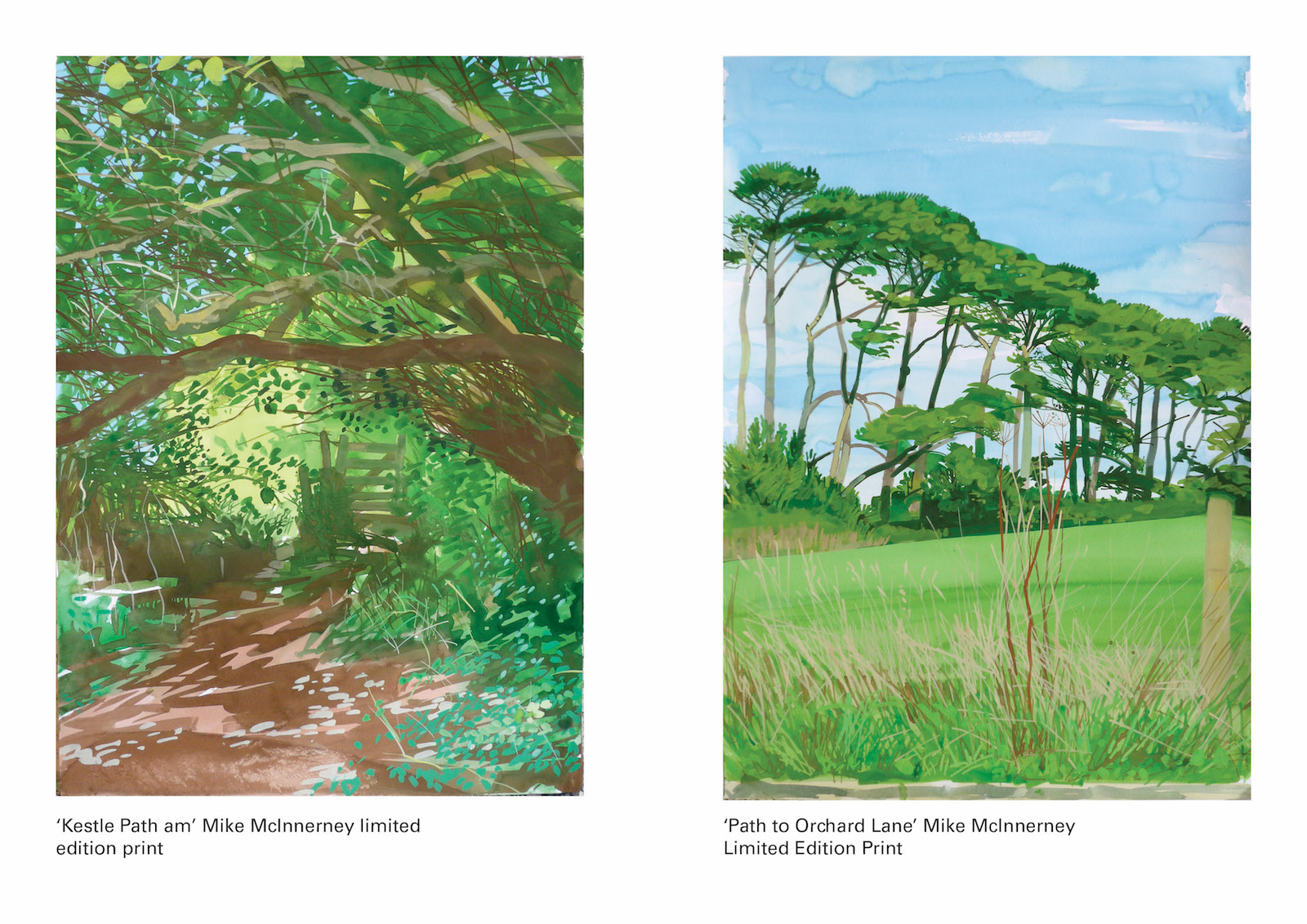 Support Story Days + win a stay at Kestle Barton - a Creative & Arts ...