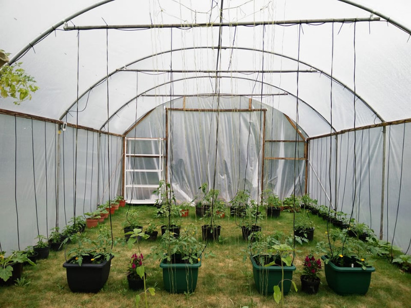 Help us bring Redcatch Community Garden to life! - a Community ...