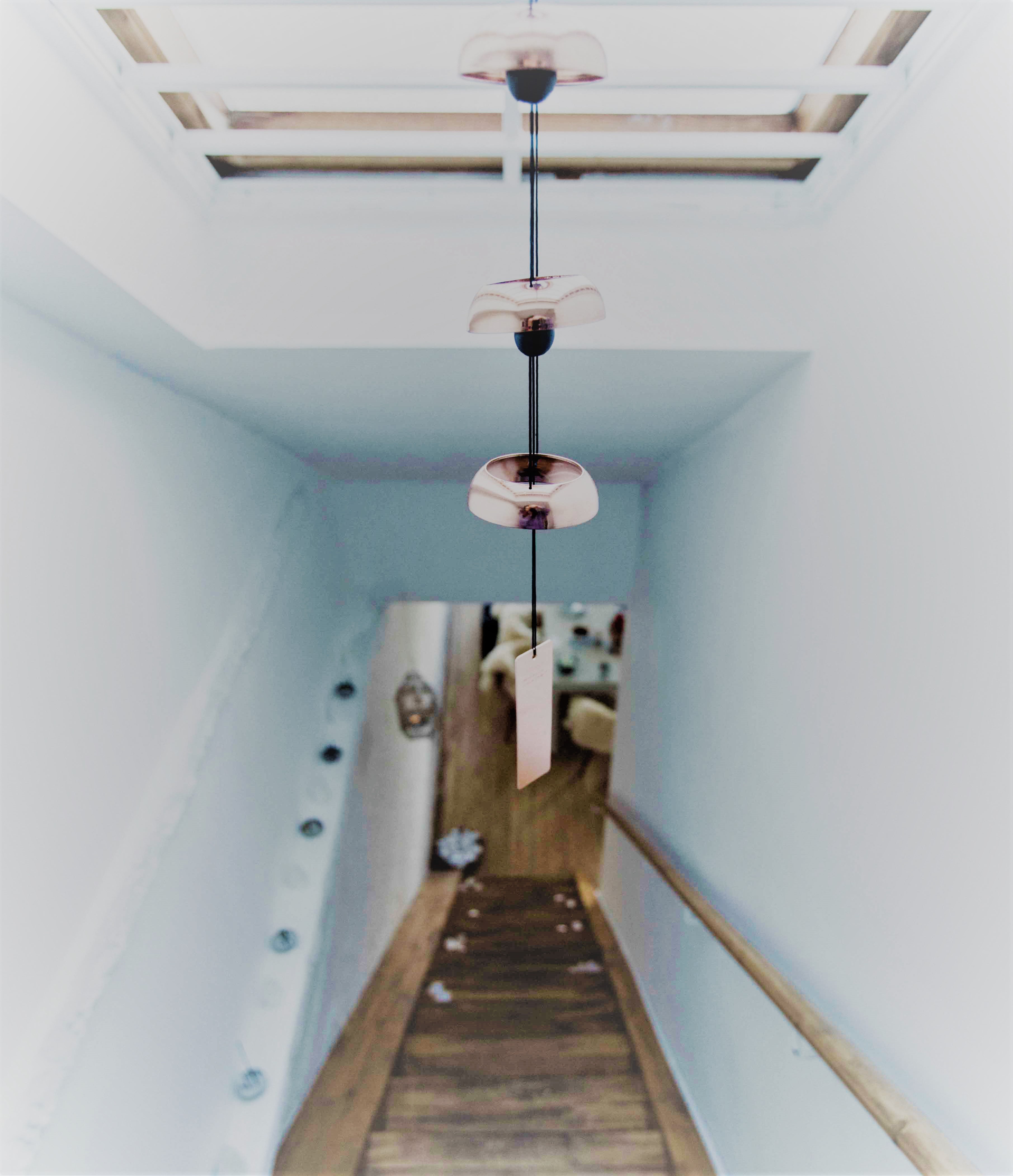 Araucaria Project - a Social Enterprise crowdfunding project in London ...