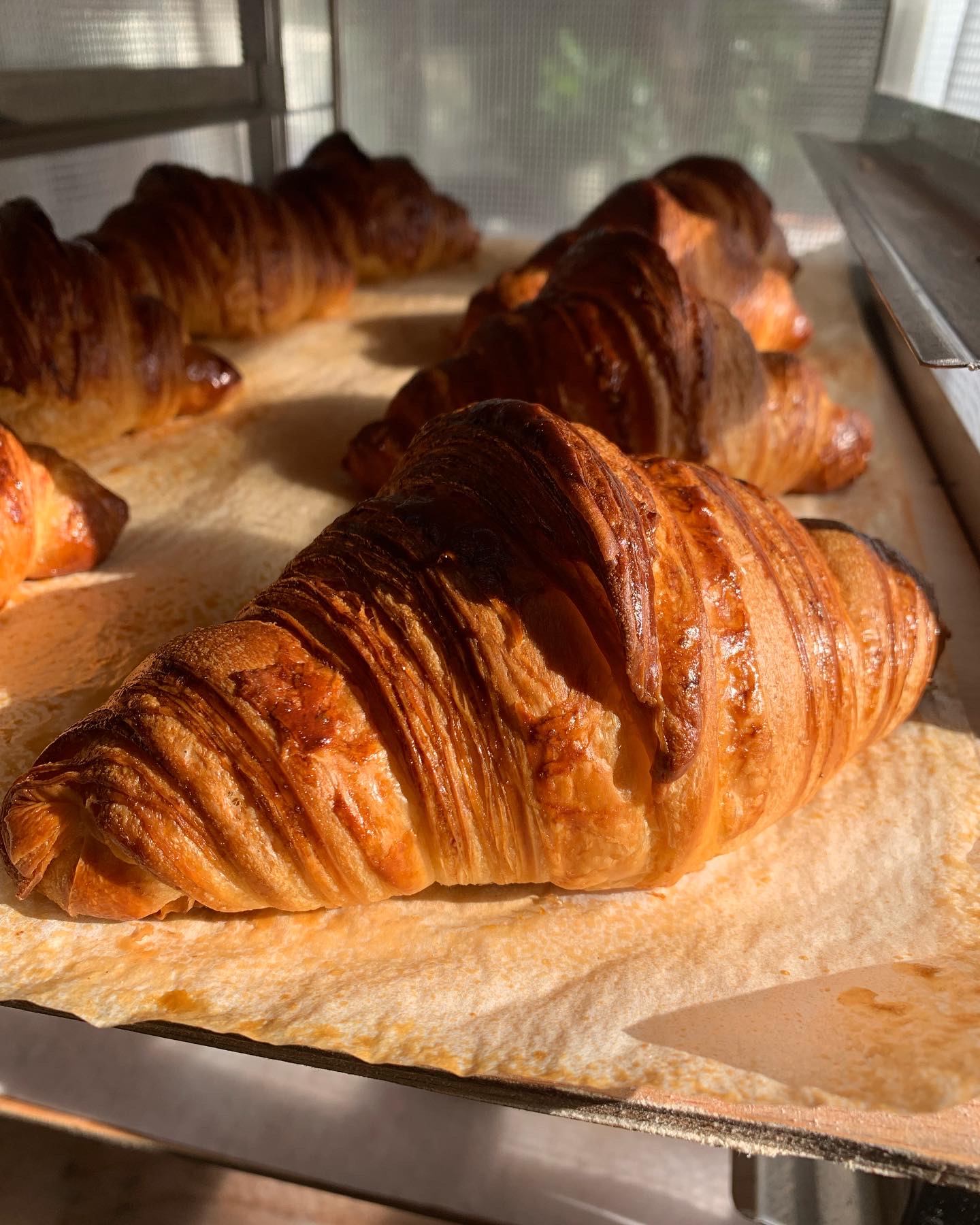 August Bakery - Help us make it happen! - a Food and Drink crowdfunding ...
