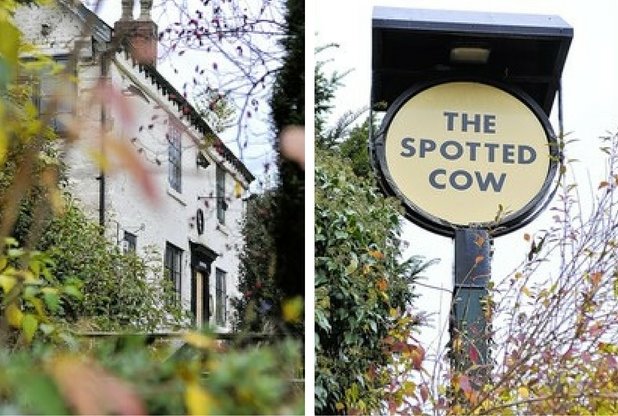 Save The Spotted Cow - a Community shares crowdfunding project in ...