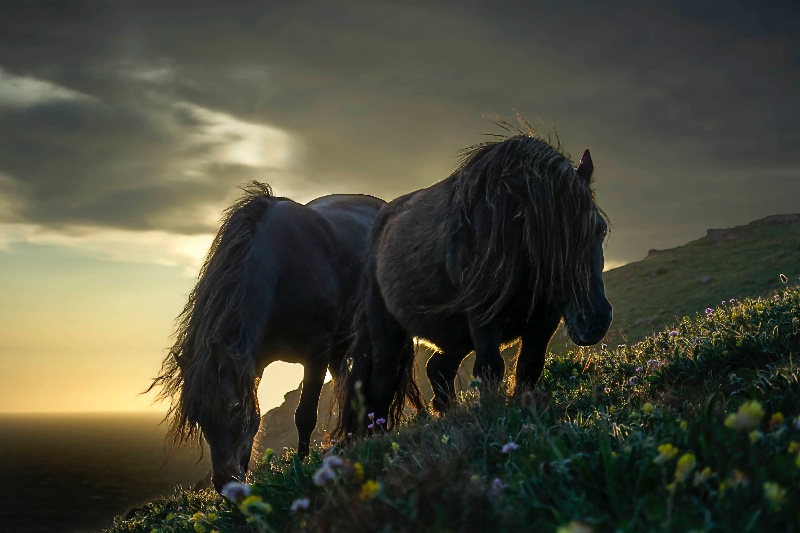 Cornish Photography - a Creative & Arts crowdfunding project in ...