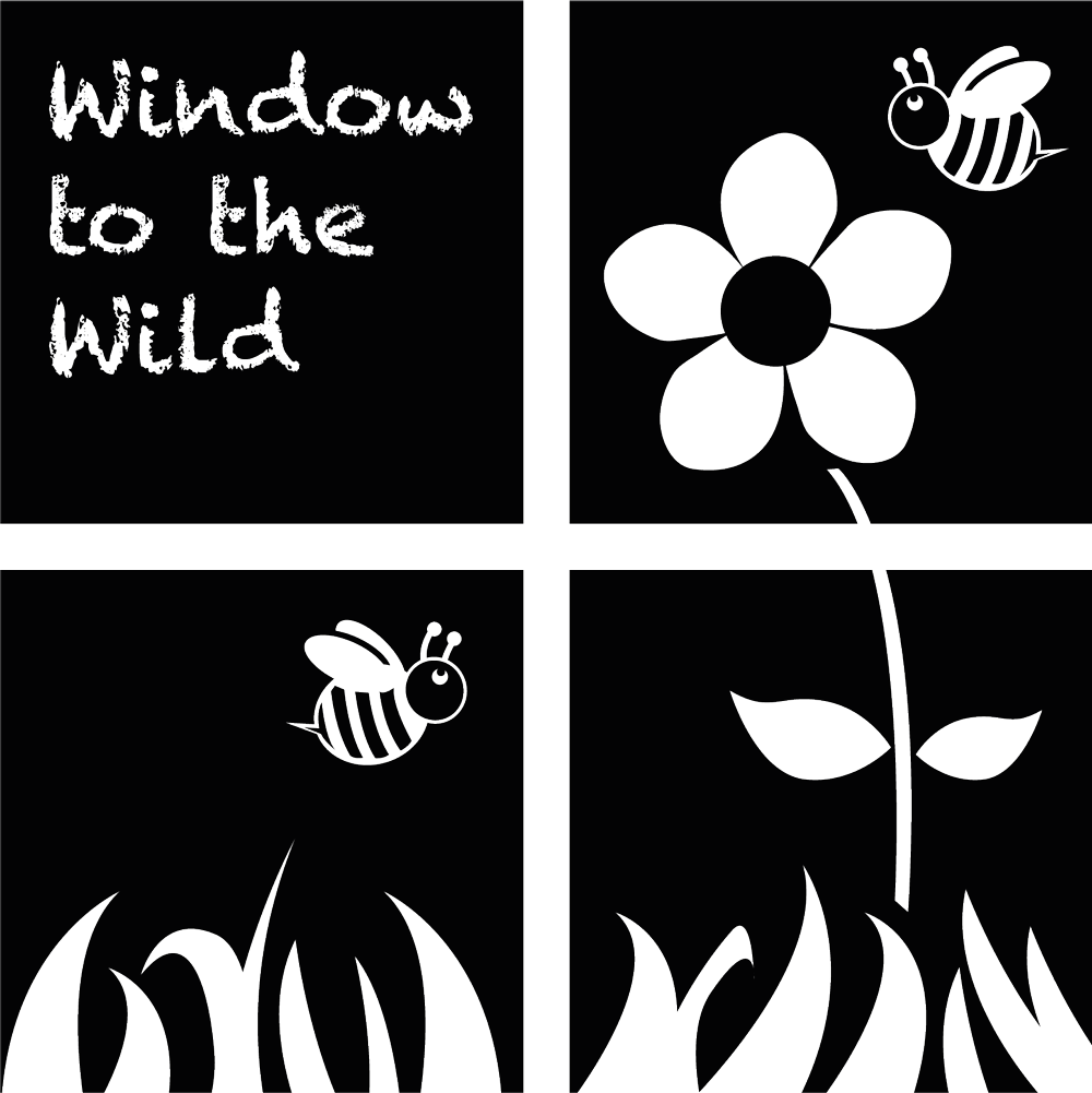 Greening Bramble Infant School and Nursery - a Schools crowdfunding ...