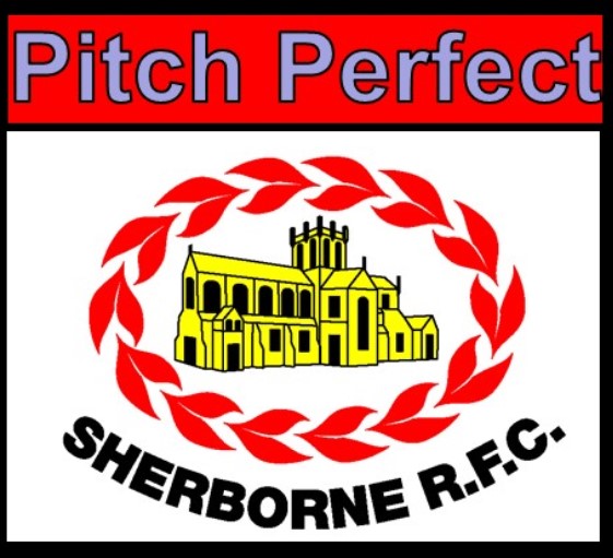 Pitch Perfect - a Sports crowdfunding project in Sherborne by Sherborne ...