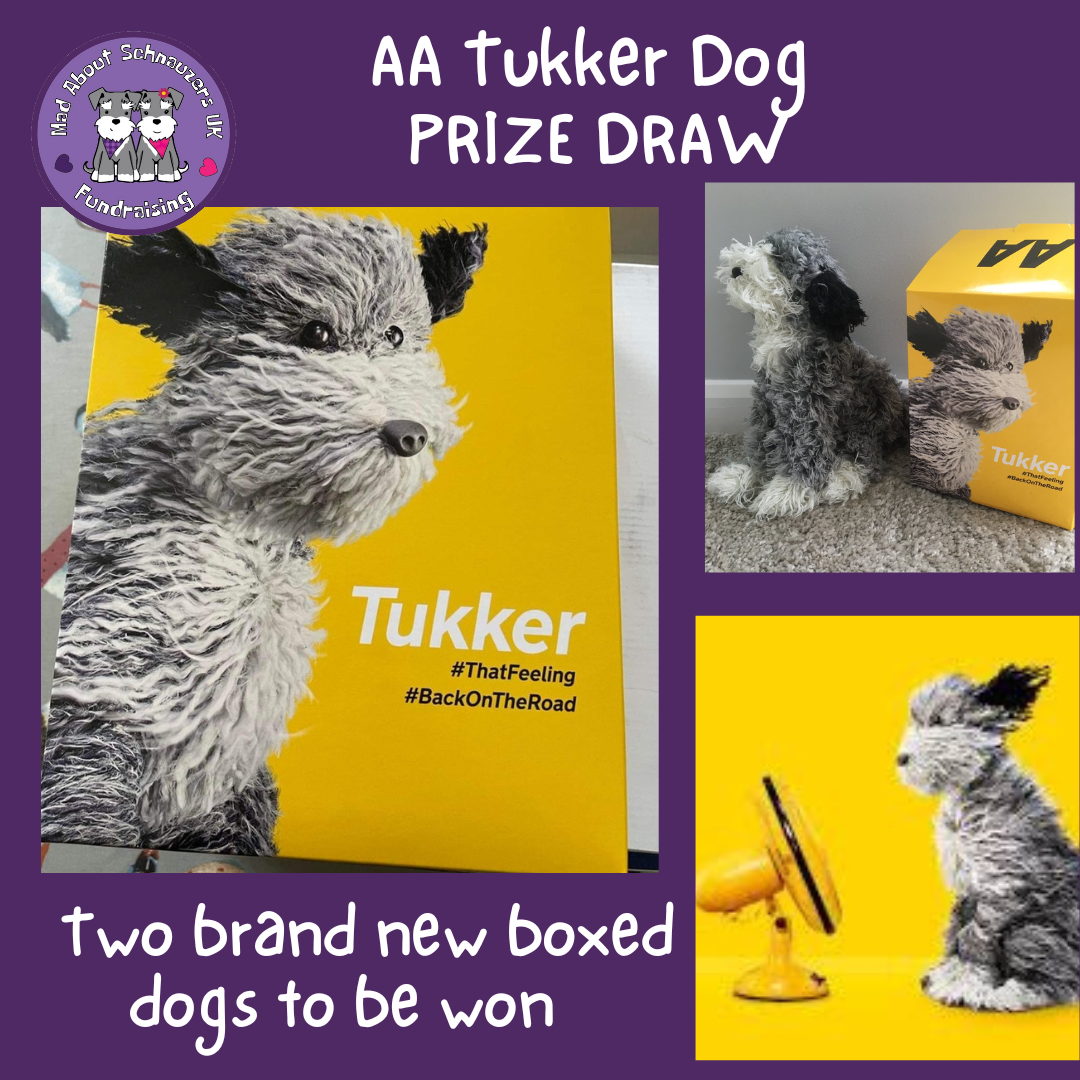 MASUK FUNDRAISING AA TUKKER DOG PRIZE DRAW - a Charities crowdfunding ...