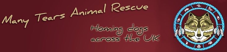 Many Tears Animal Rescue Fundraiser - a Social Enterprise crowdfunding ...