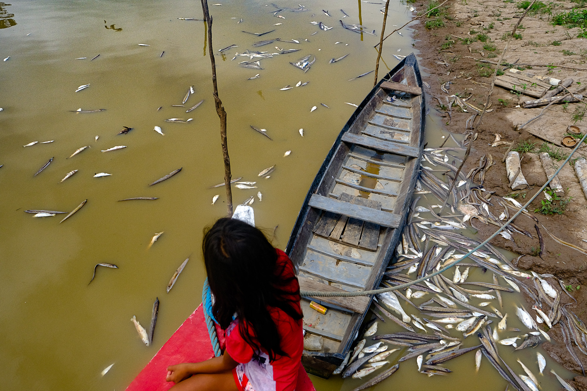 Amazon Drought & Wildfires Relief Campaign - a Community crowdfunding ...