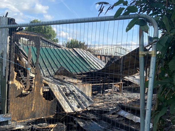 ALMBOX rising from the ashes - a Community crowdfunding project in ...