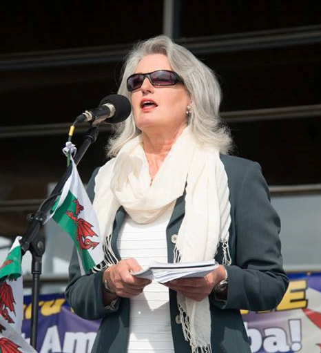 Help Elect Pippa Bartolotti MP - a Politics crowdfunding project in ...