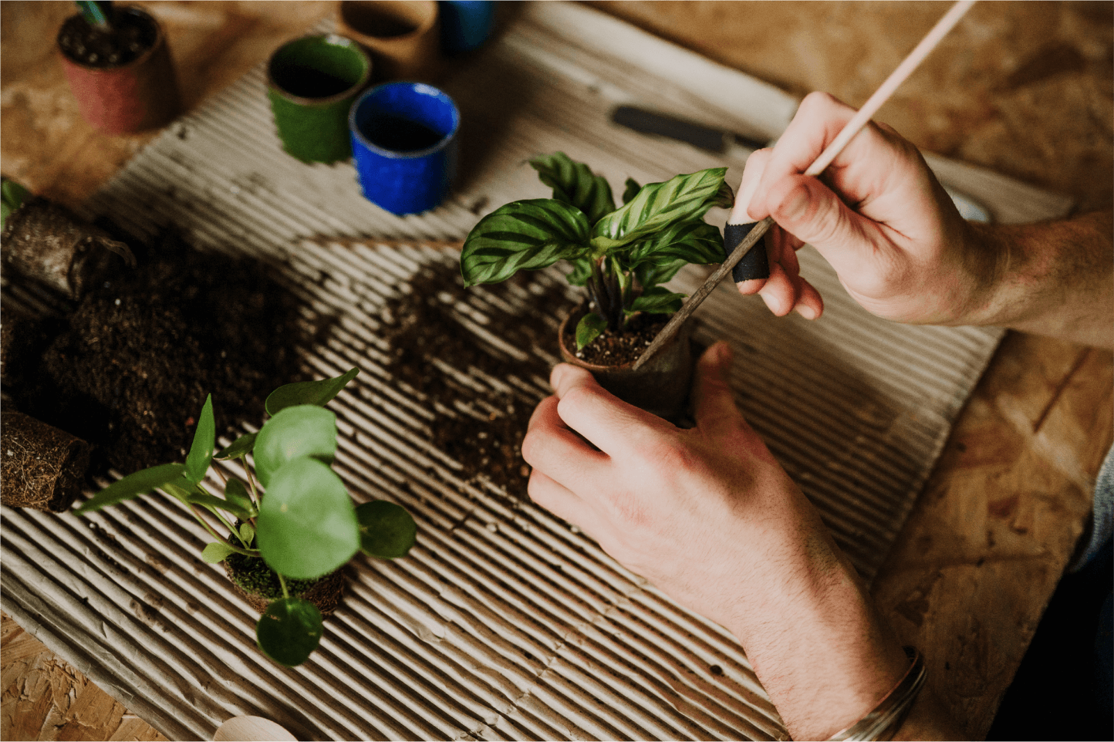 Hidden Planet - a Creative & Arts crowdfunding project in London by ...