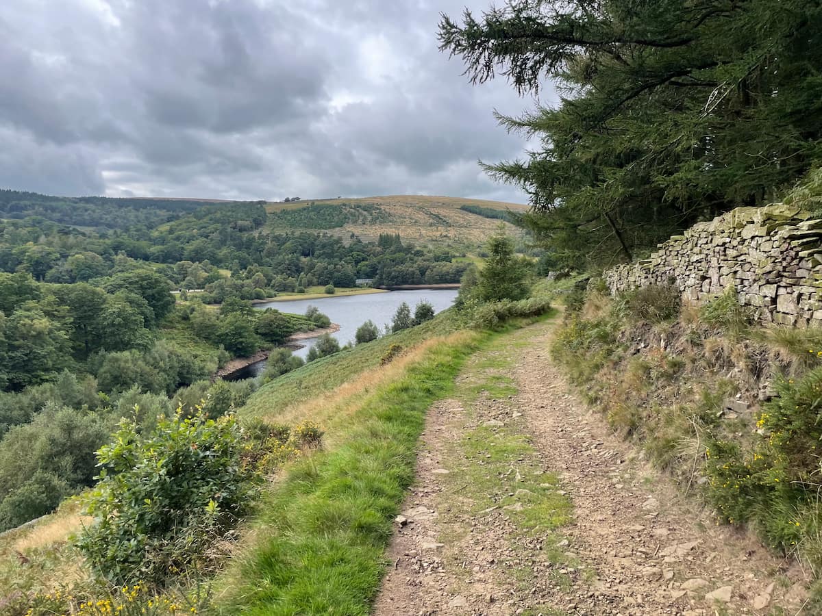 Hike for Animal Lifeline - a Charities crowdfunding project in Stoke-on ...