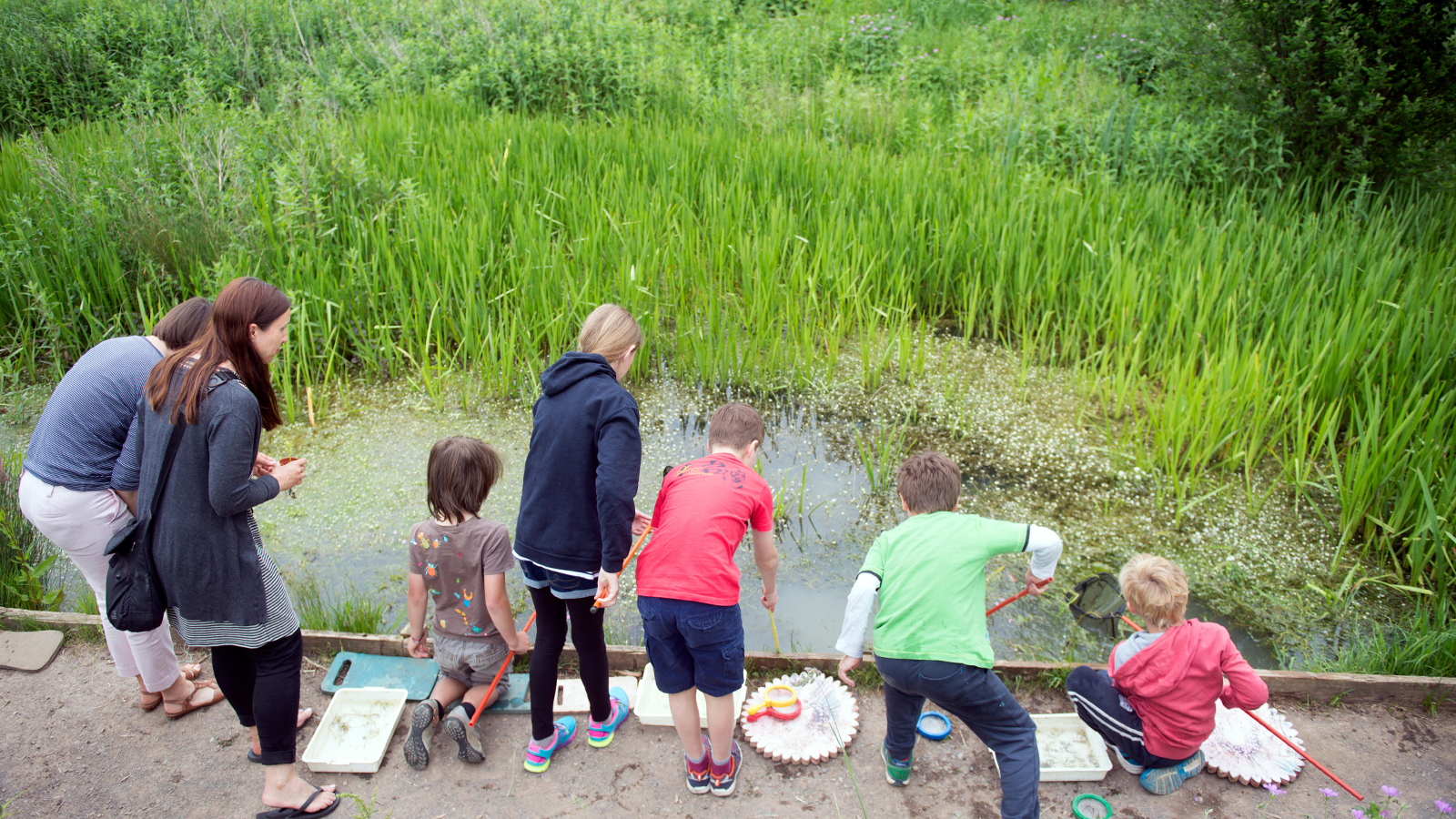 Pond restoration in Lune Aqueduct, Lancaster - a Environment ...