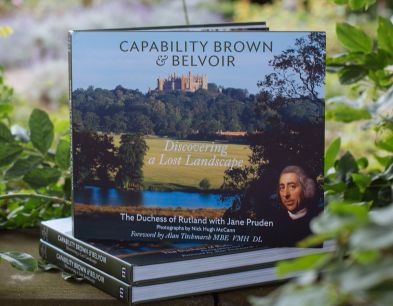 'Capability' Brown Sculpture - a crowdfunding project in London by laury