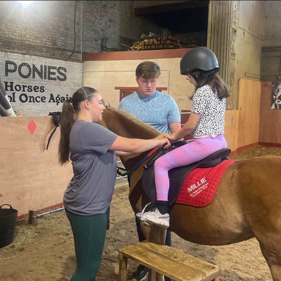 Save Park Palace Ponies Community Riding School - a Community ...