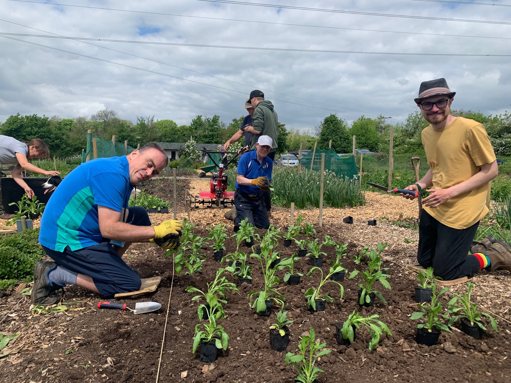 Organic Blooms Healing Communities Project - a Community crowdfunding ...