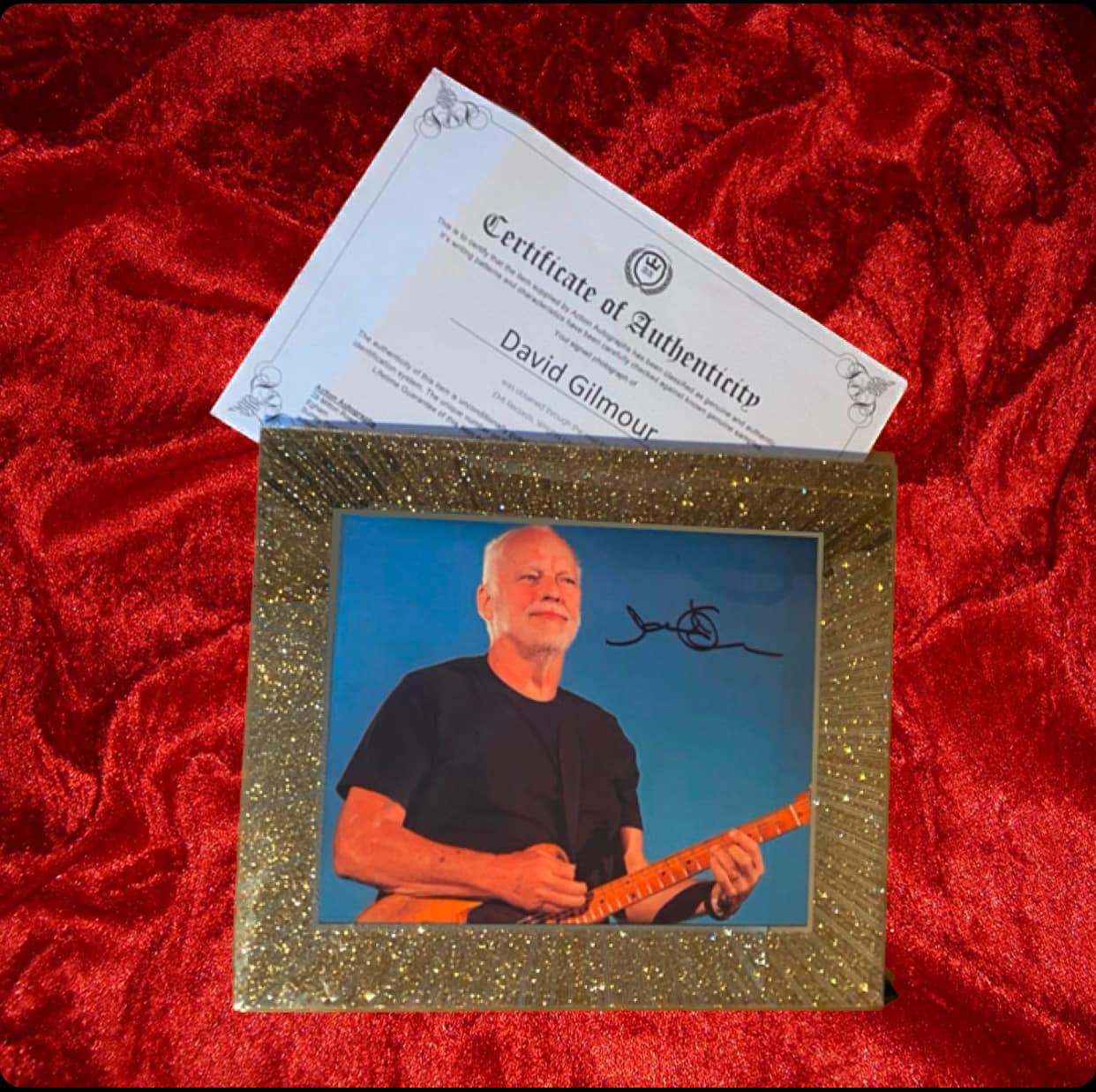 Signed photo of David Gilmour (authenticated) - a Music crowdfunding ...