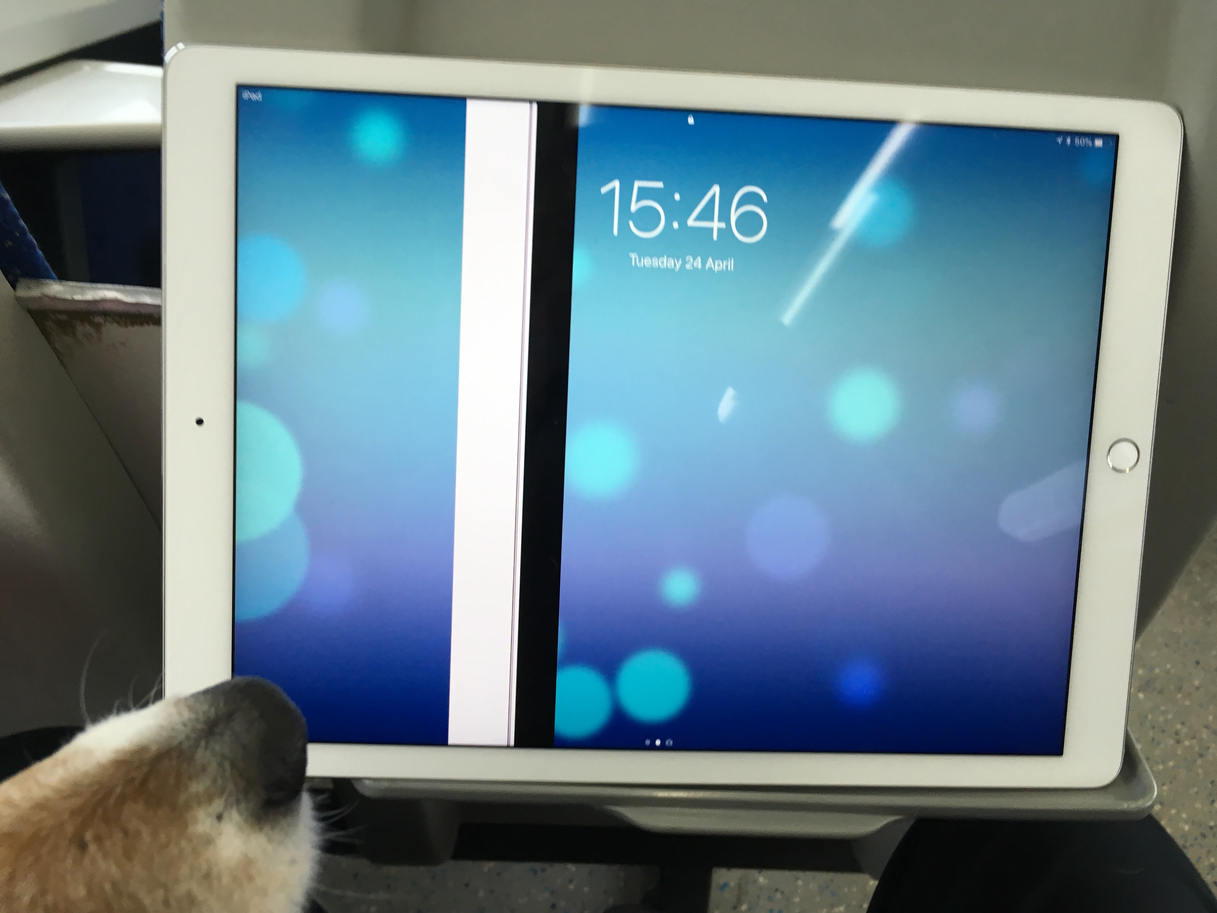 Repair my broken iPad Pro - a Creative & Arts crowdfunding project in ...