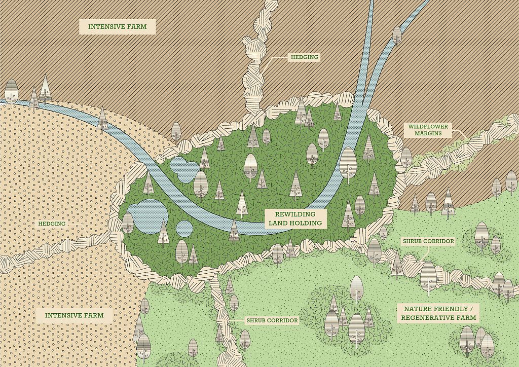 Heal Rewilding - a Environment crowdfunding project in Frome by Heal ...