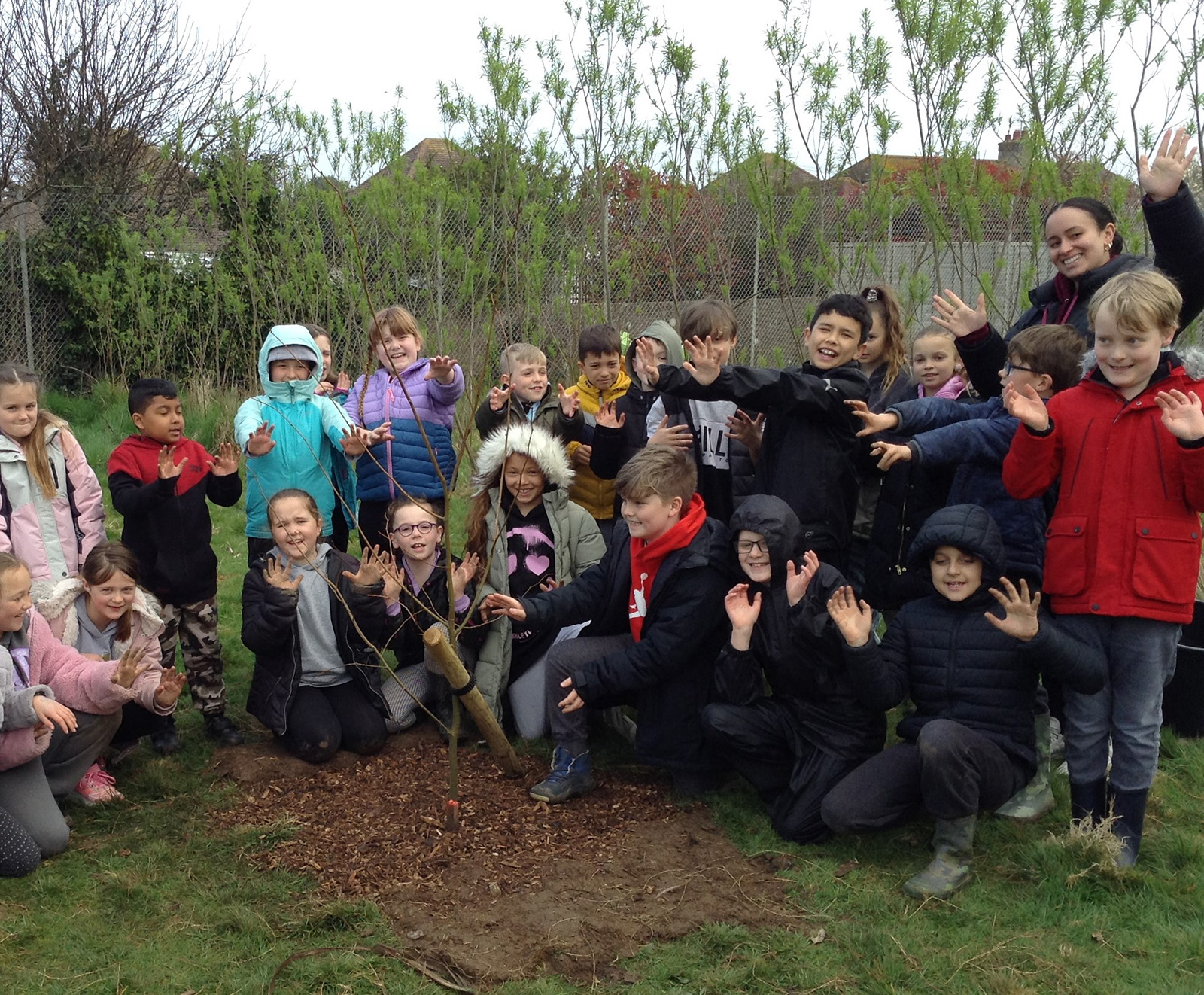 TreeAction for Durrington Infant and Junior School - a Schools ...