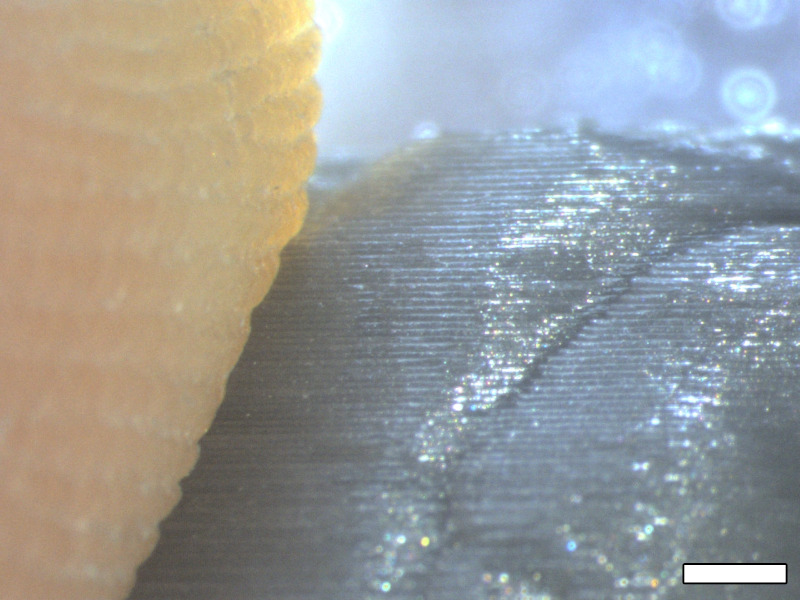 shedring hobbies starting 3D printing - a Business crowdfunding project ...