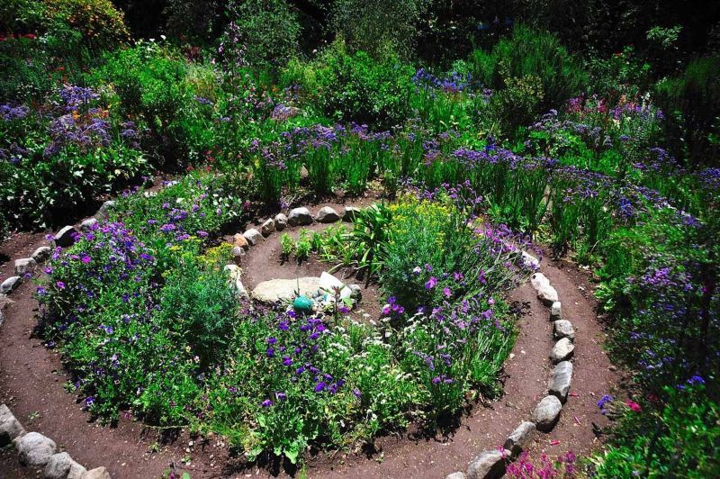 Reading Garden In Memory of Ollie Slack - a Schools crowdfunding ...