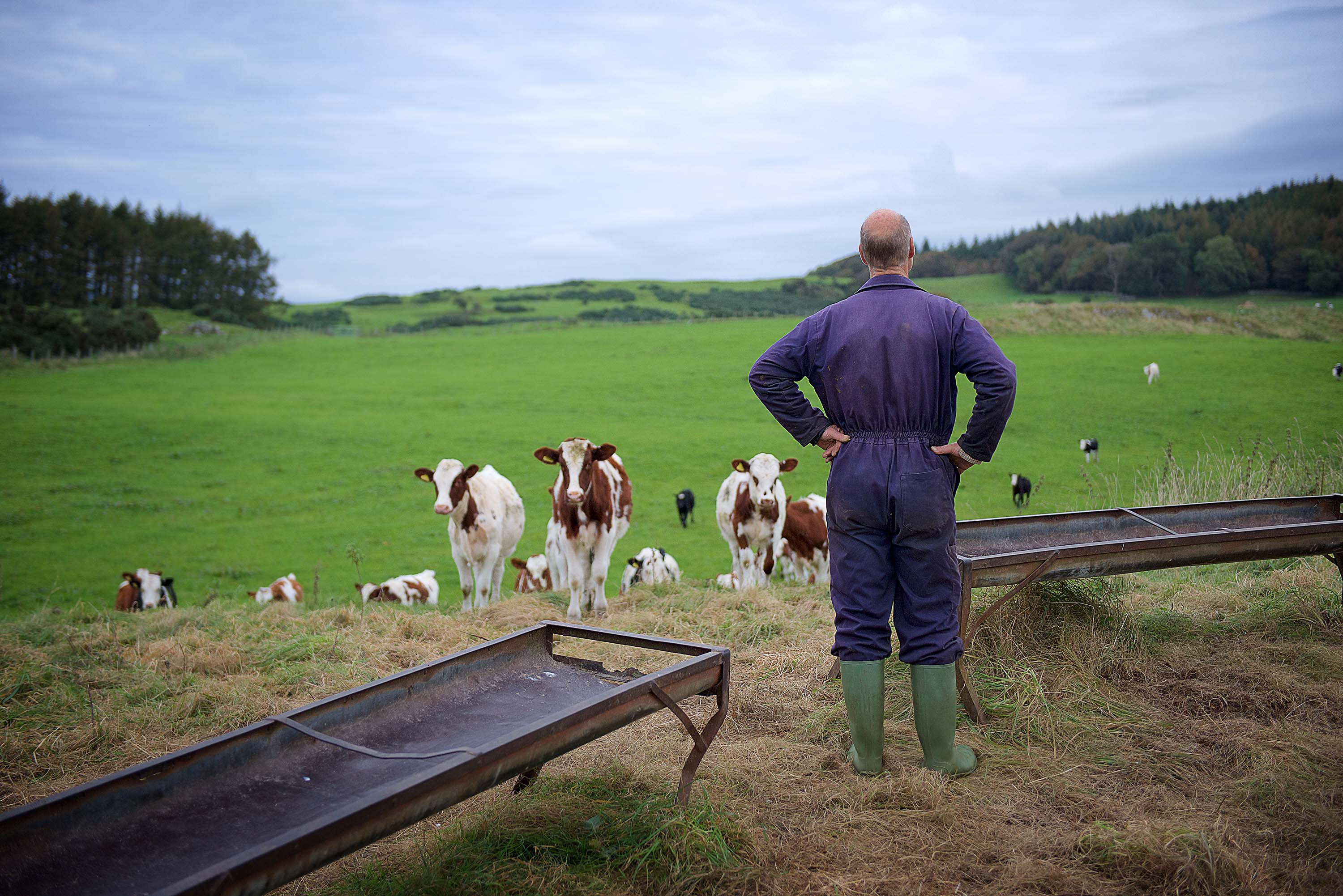 The Ethical Dairy - help start a revolution. | Ecohustler
