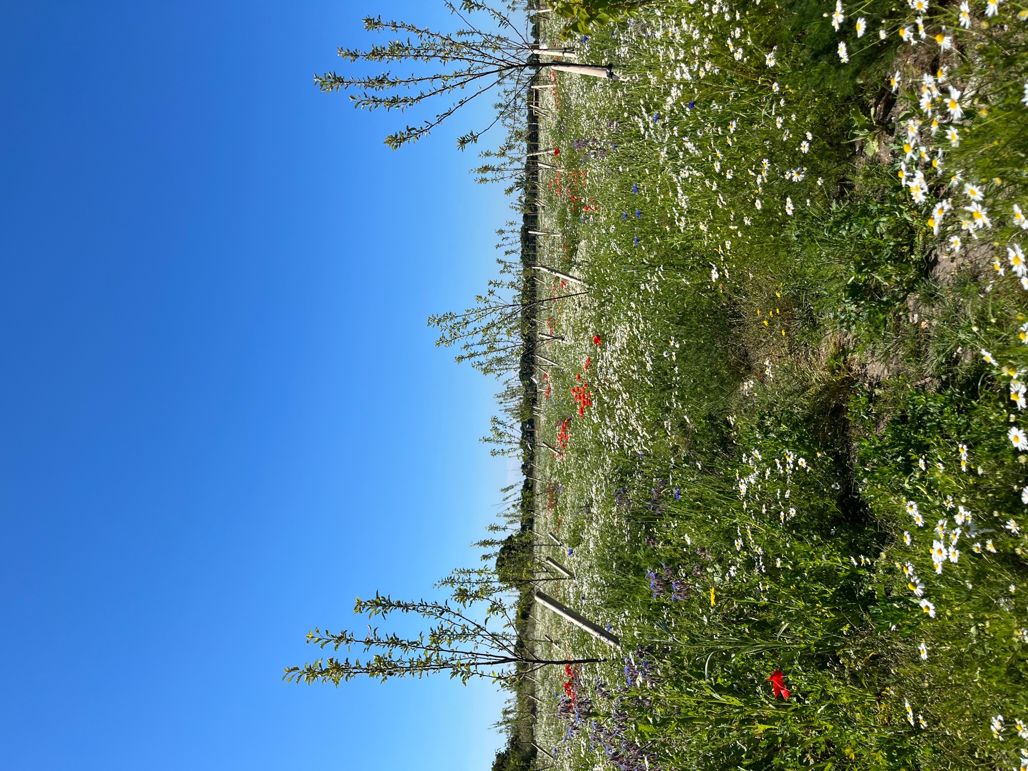 Four Acre Farm - a Food and Drink crowdfunding project in Ringwood by ...