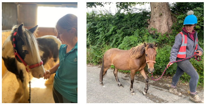 The Hugs Foundation - a Community crowdfunding project in Bodmin by ...