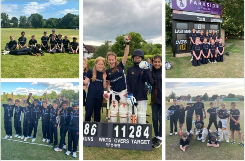 Esher Cricket Club - Nets Refurbishment - a Community crowdfunding ...