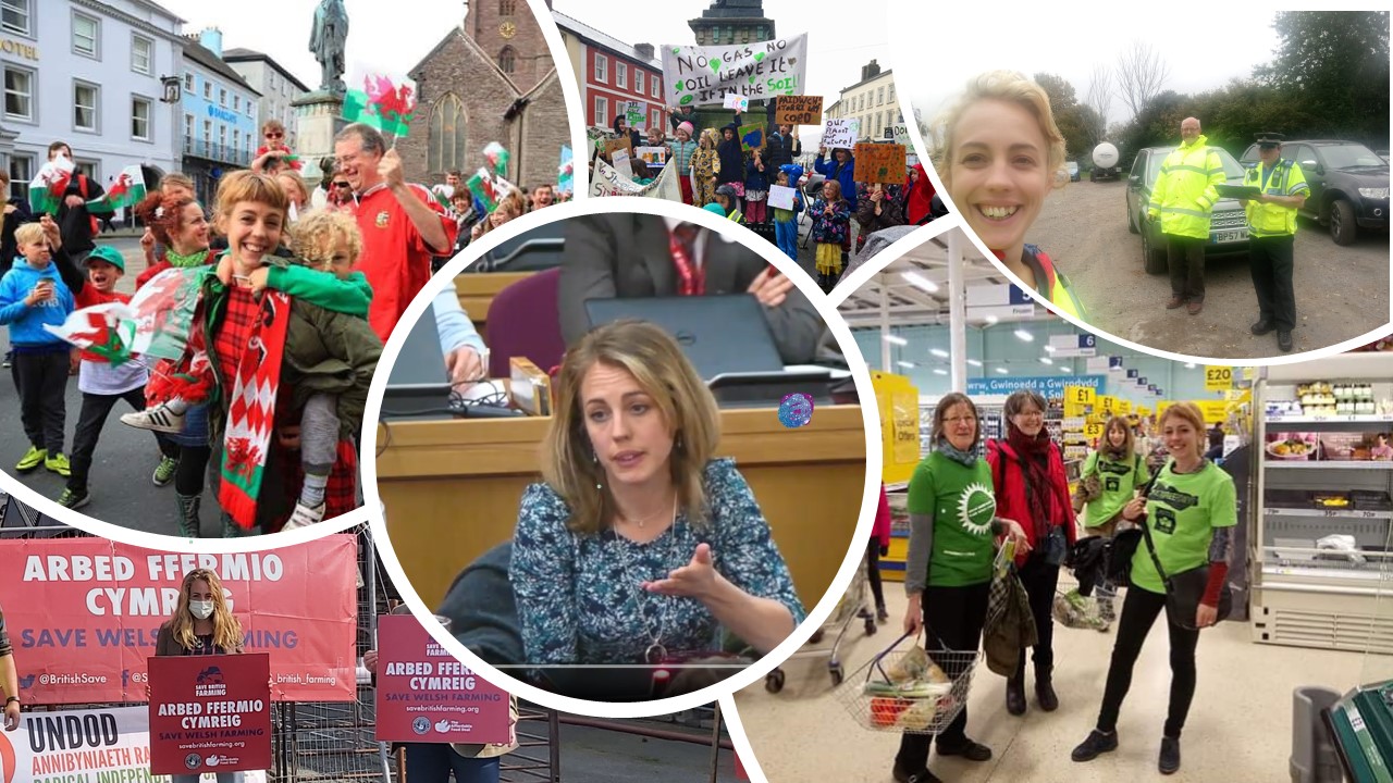 VOTE GREEN 4 Mid & West Wales - a Politics crowdfunding project in ...