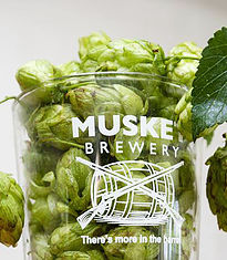 Must Get Behind Musket - a Business crowdfunding project in Linton by ...