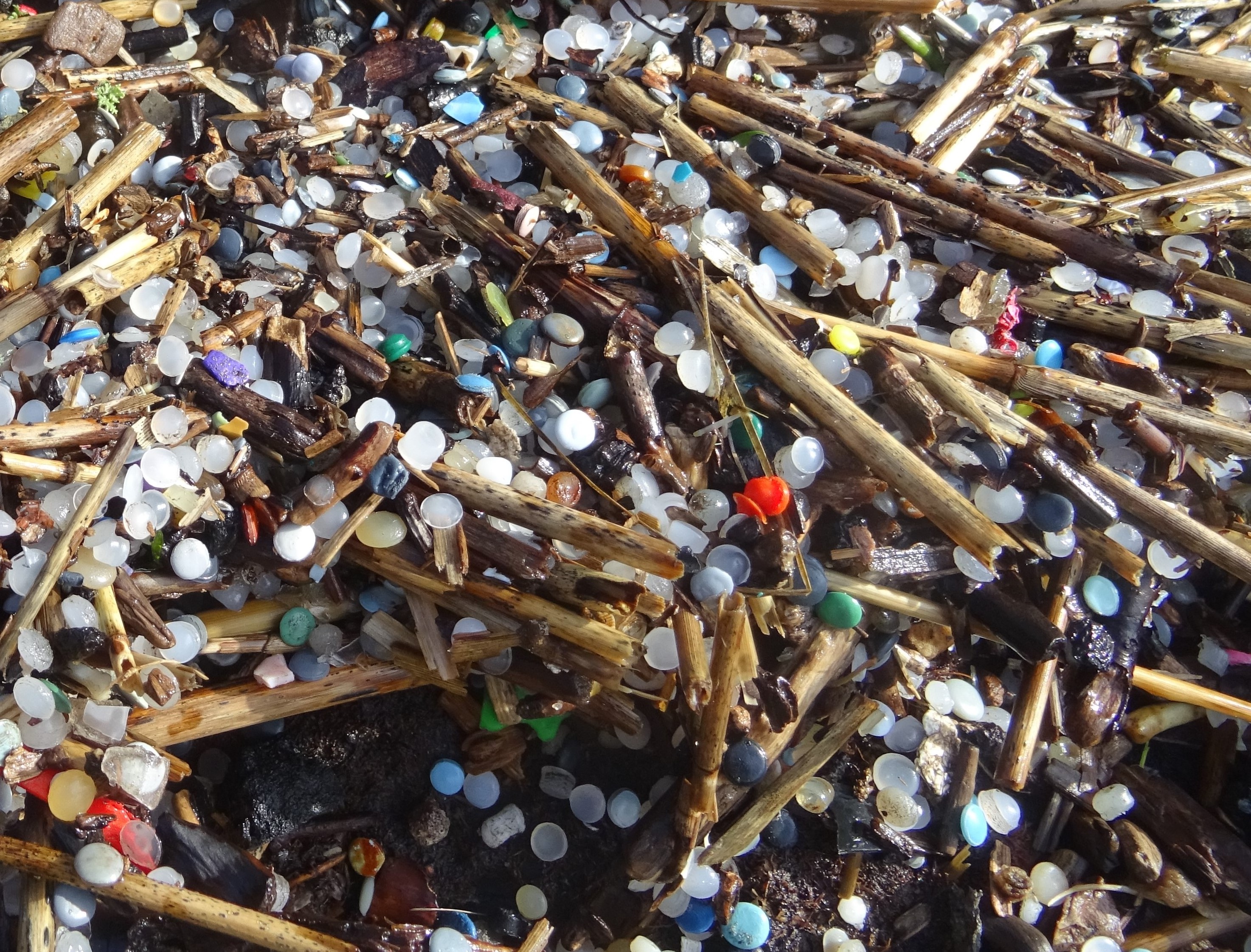 Nurdle - a children's book about microplastics. - a Publishing ...