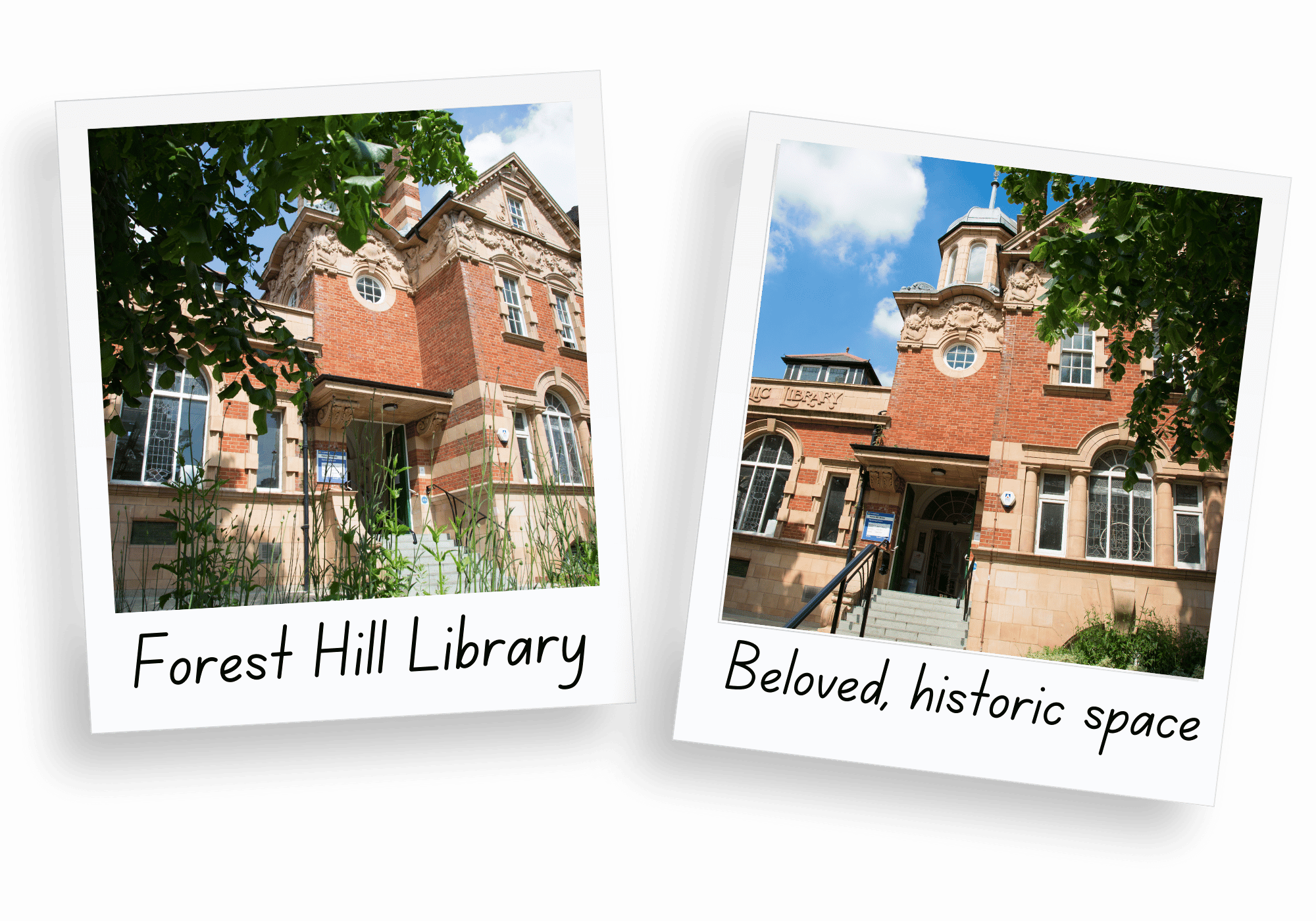Help Forest Hill Library Thrive - a Community crowdfunding project in ...