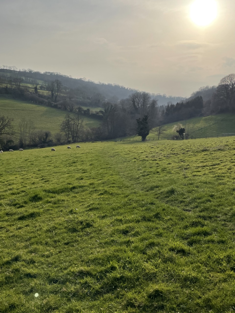 The Bath 5k Map - a Community crowdfunding project in Bath by Annie Legge