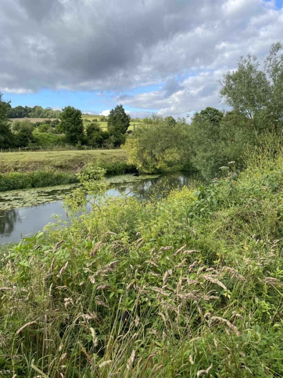 The Bath 5k Map - a Community crowdfunding project in Bath by Annie Legge