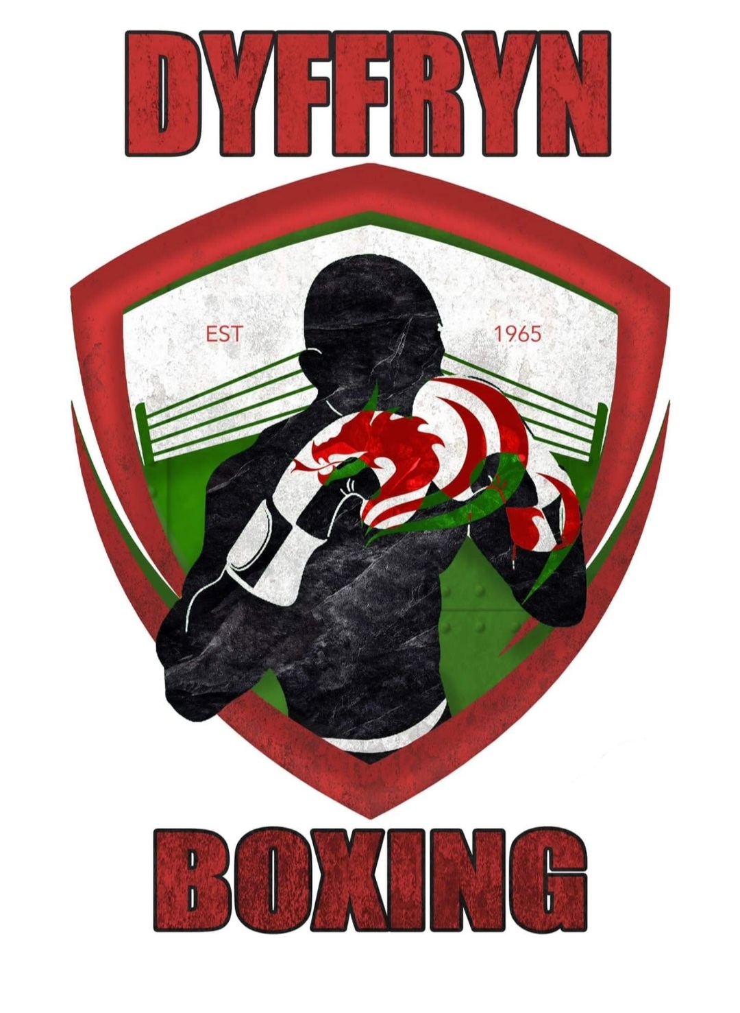Dyffryn boxing club repair and refurbishment - a Community crowdfunding ...