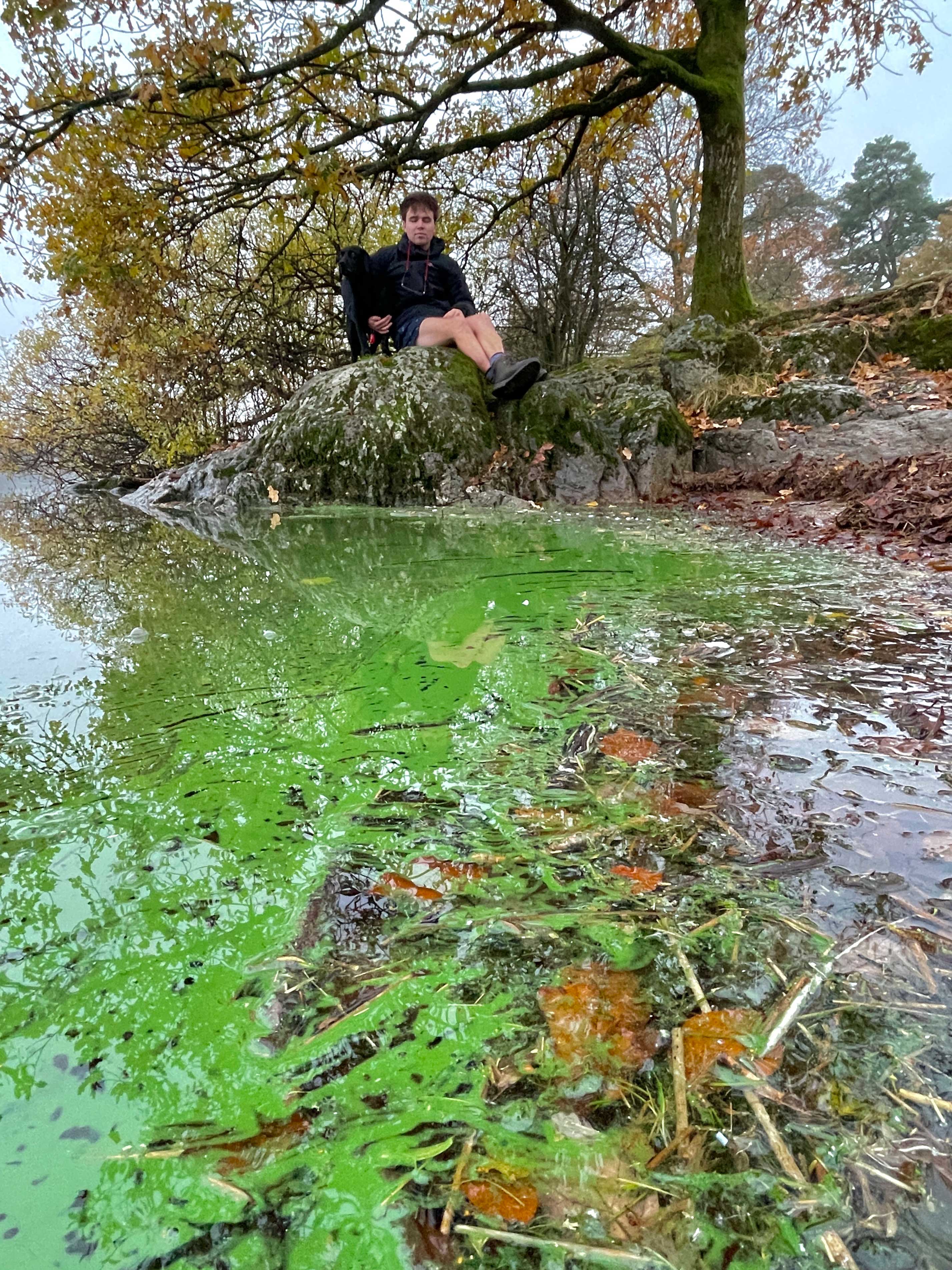 Windermere Lake Recovery - a Environment crowdfunding project in ...