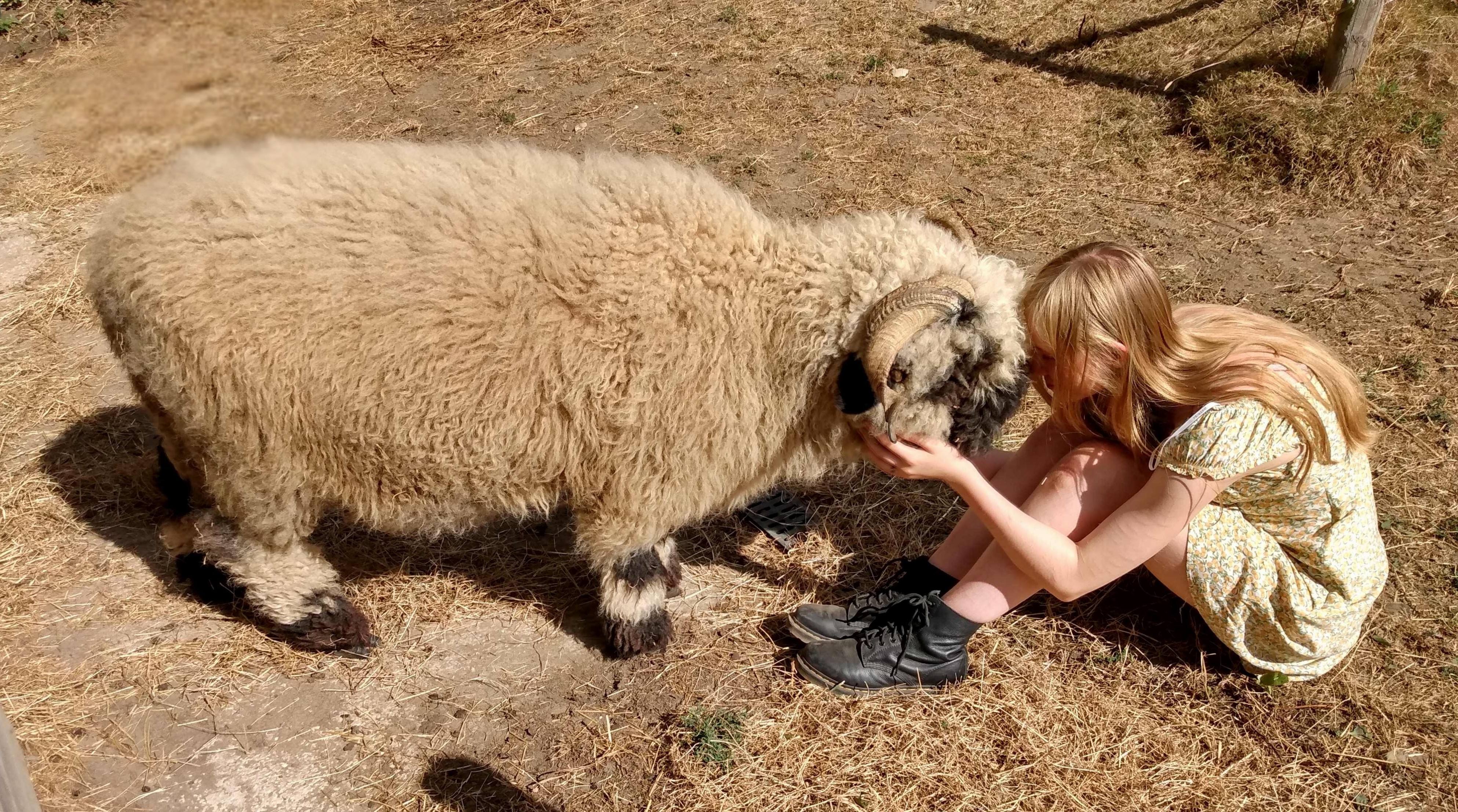 Change of Scene: Securing the Future - a Charities crowdfunding project ...