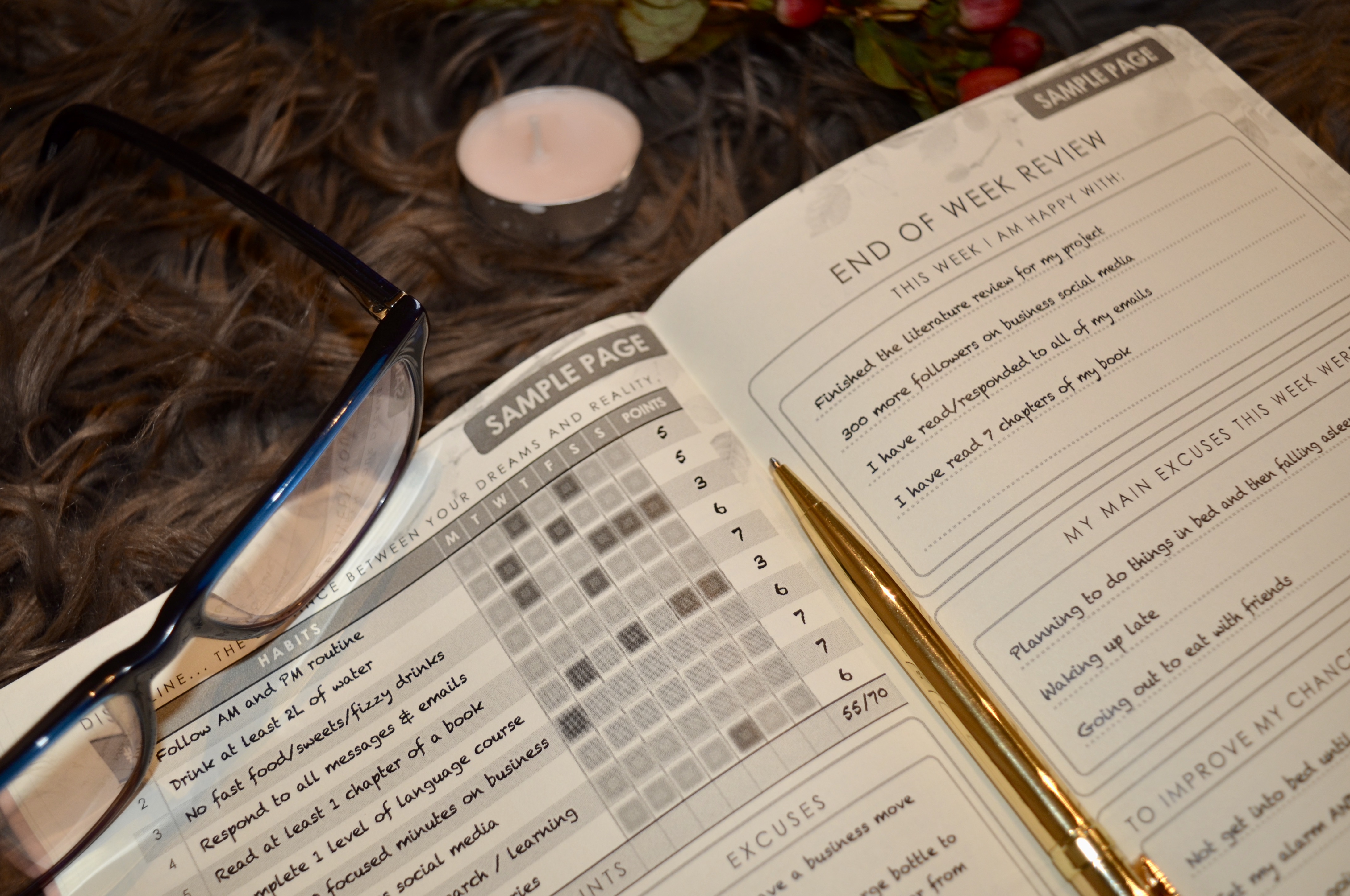 Discipline Diary: Habit Tracker with a Difference - a Publishing ...