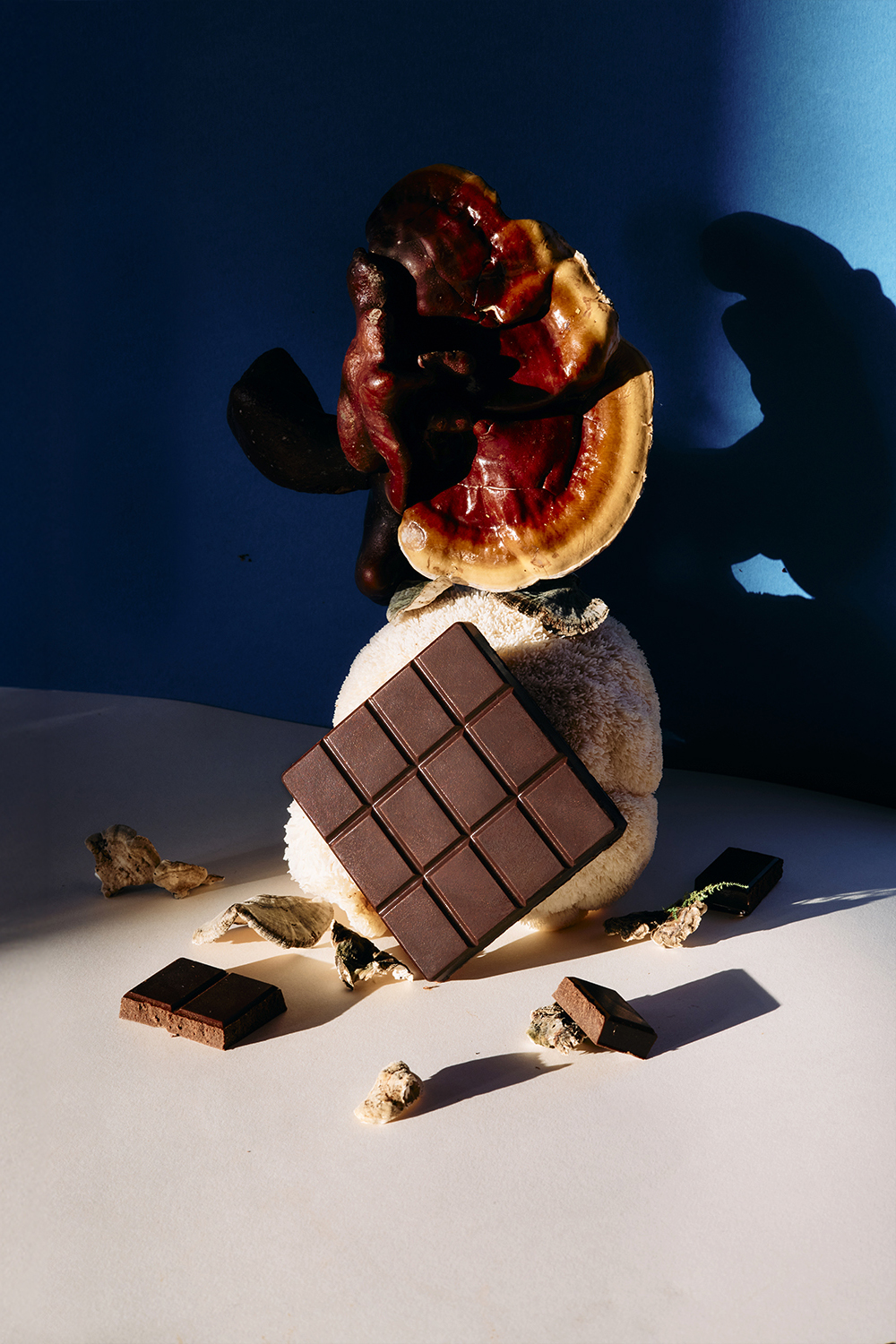 luma mushroom - a new kind of chocolate - a Food and Drink crowdfunding ...