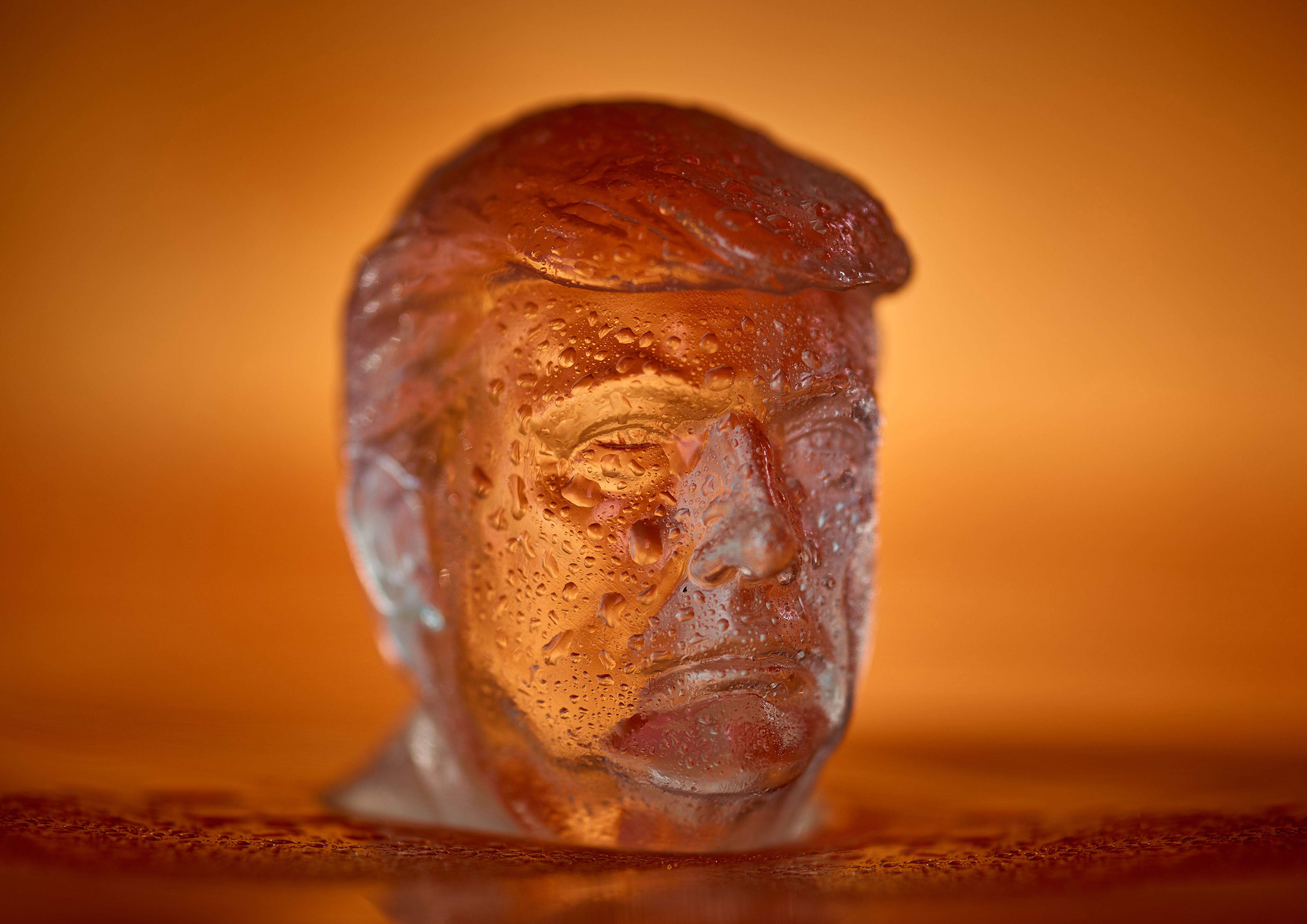 Trump ice-head Trays - a Charities crowdfunding project in London by ...