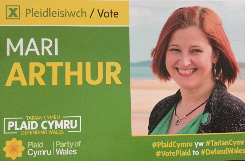 Mari Arthur: The Voice You Need For Llanelli - a Politics crowdfunding ...